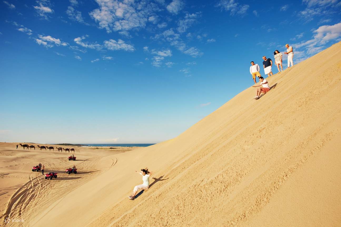 1 Day Port Stephens Private Car Charter from Sydney - Klook Australia