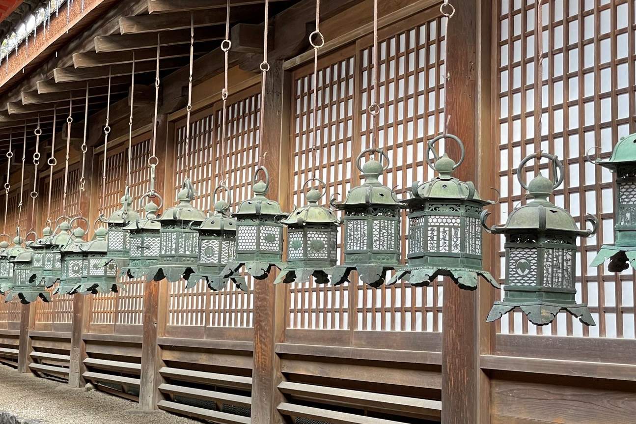 Todaiji, Nara Park, and Kasuga Taisha Shrine Half Day Bus Tour from ...
