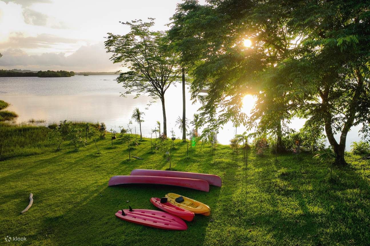 Unwind and Thrive: Your Ultimate Club Cali Experience in Caliraya - Klook