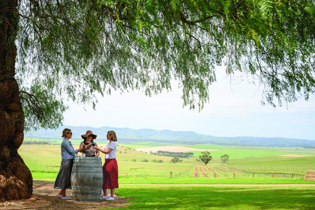 Barossa Valley Food and Wine Full Day Tour from Adelaide - Klook United ...
