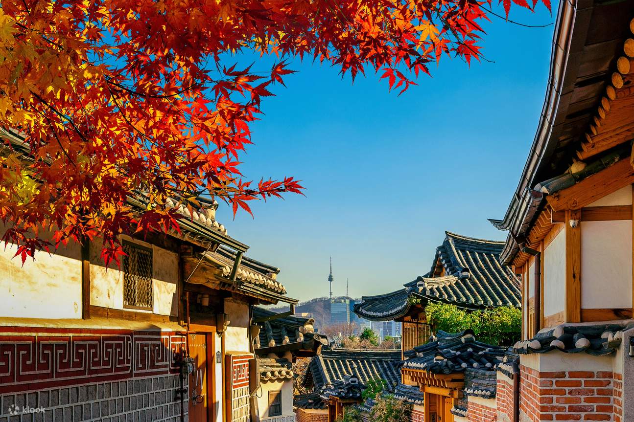 Muslim-Friendly | Seoul Private Car Charter to Seoul City / Seoul ...
