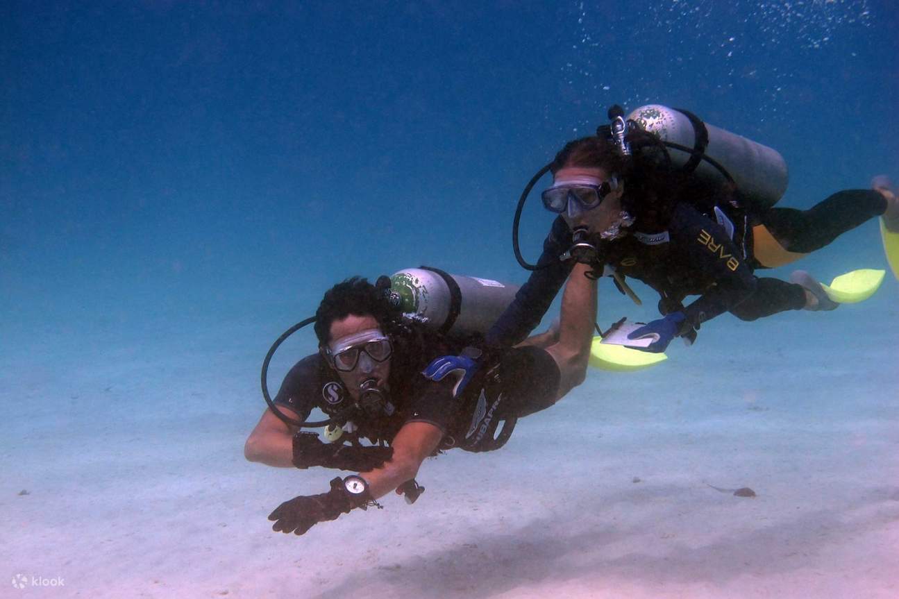 4D3N Tioman Island PADI Diving Course with Dive Resort Stay - Klook