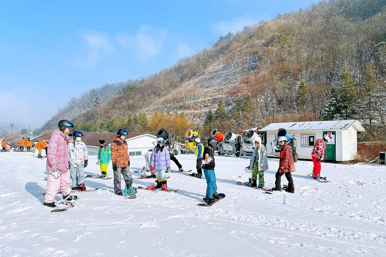 Nami Island / Elysian Ski Day Tour from Seoul - Klook United States