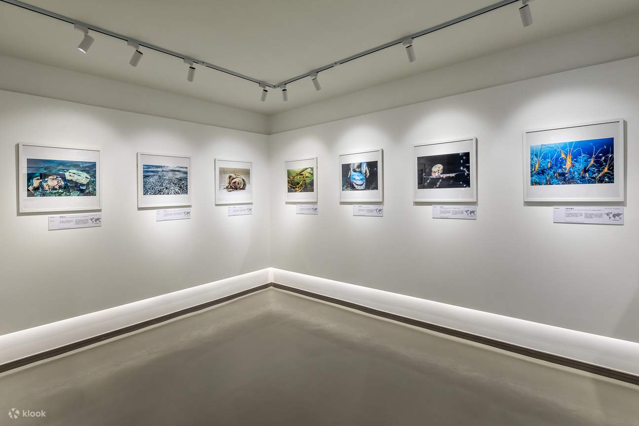 Museo di Immagini Naturali di Cangshan - Klook Stati Uniti