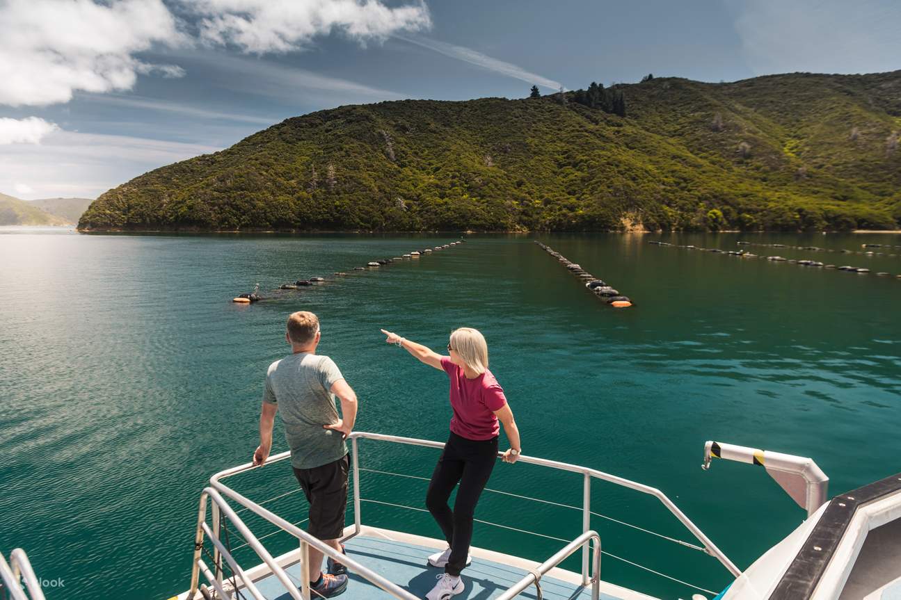 Pelorus Mail Boat Cruise in Marlborough - Klook The Bahamas