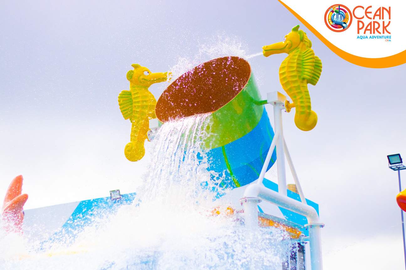 Ocean Park Aqua Adventure - Klook