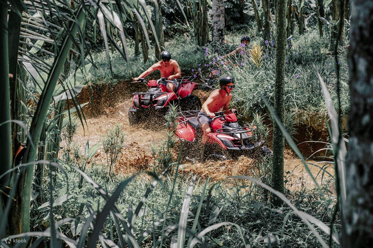 Bali ATV Quad Bike Adventure in Abiansila Ubud - Klook Australia