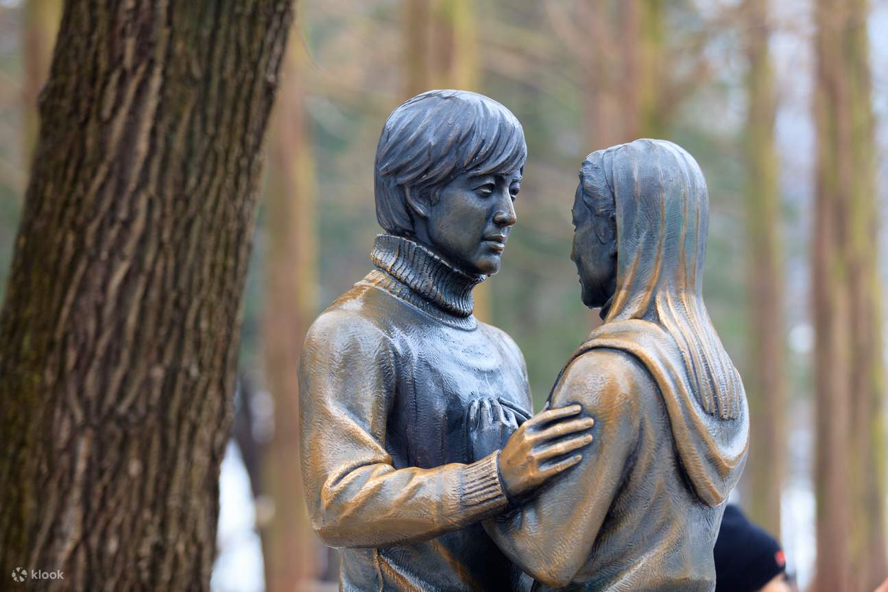 Alpaca World, Nami Island & The Garden of Morning Calm Private Tour ...