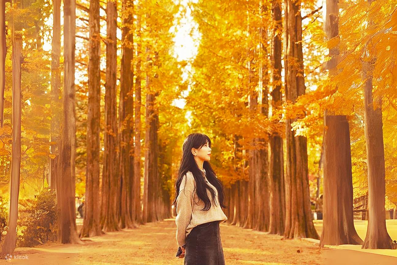 Eden Cherry Blossom Road x AQUAFIELD Jjimjilbang x Begonia Bird Park - Klook Philippines