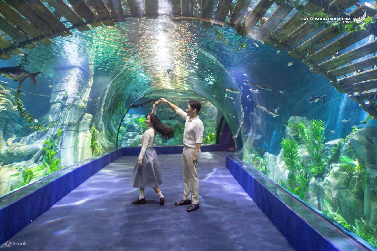 Lotte World Aquarium Hanoi Ticket - Klook