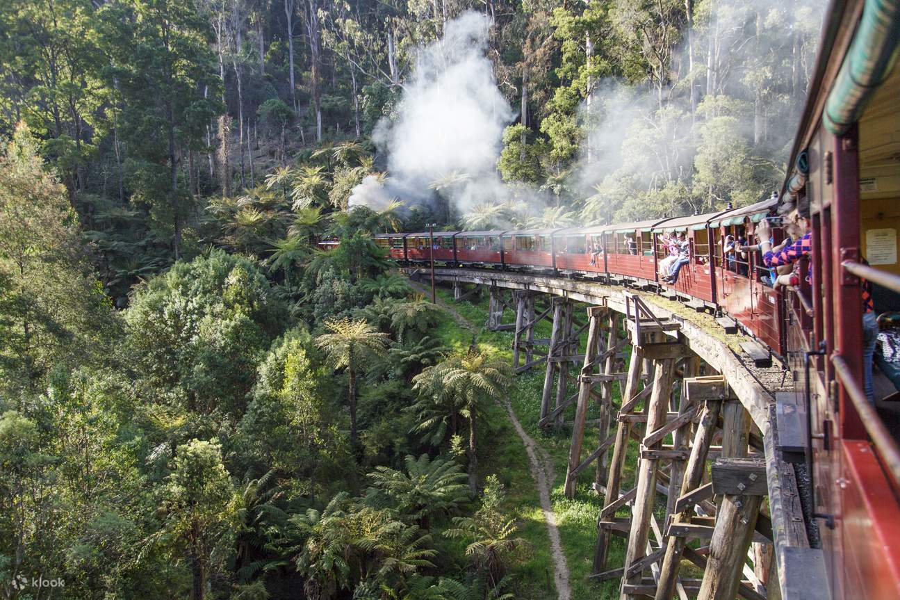 Puffing Billy & Phillip Island Day Tour - Klook United States