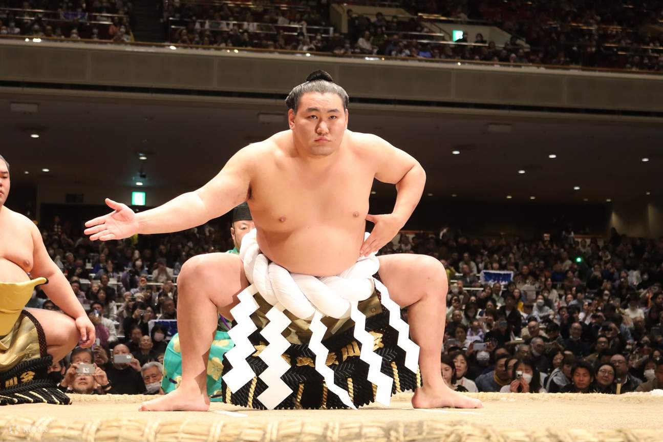 Osaka City, Osaka Grand Sumo Tournament Viewing Half Day Walking Tour ...