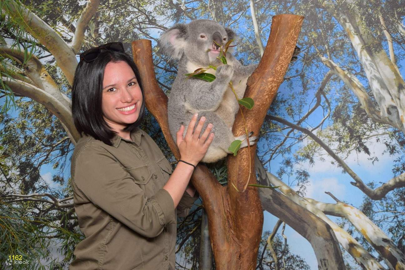 Lawatan Sehari ke Blue Mountain dan Zoo dari Sydney - Klook Amerika ...