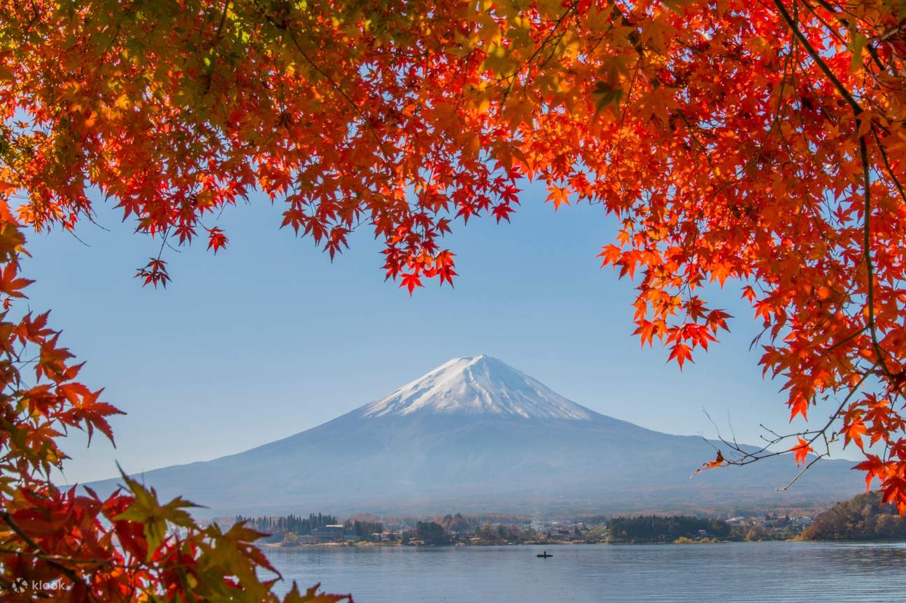 [Fuji Fruit Picking Day Trip to Mount Fuji] Arakurayama Sengen Park ...
