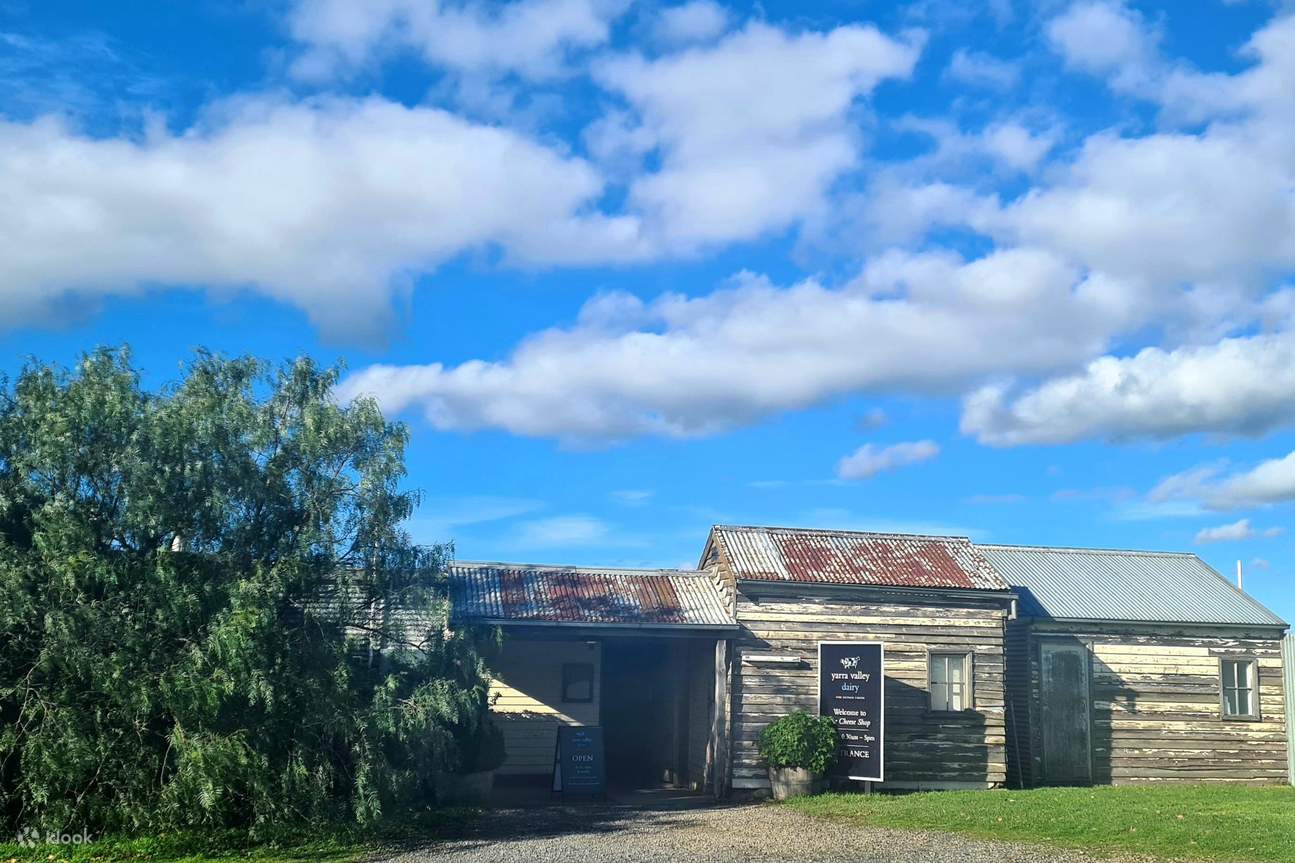 Yarra Valley Dairy Cheese Tasting Experience - Klook Philippines