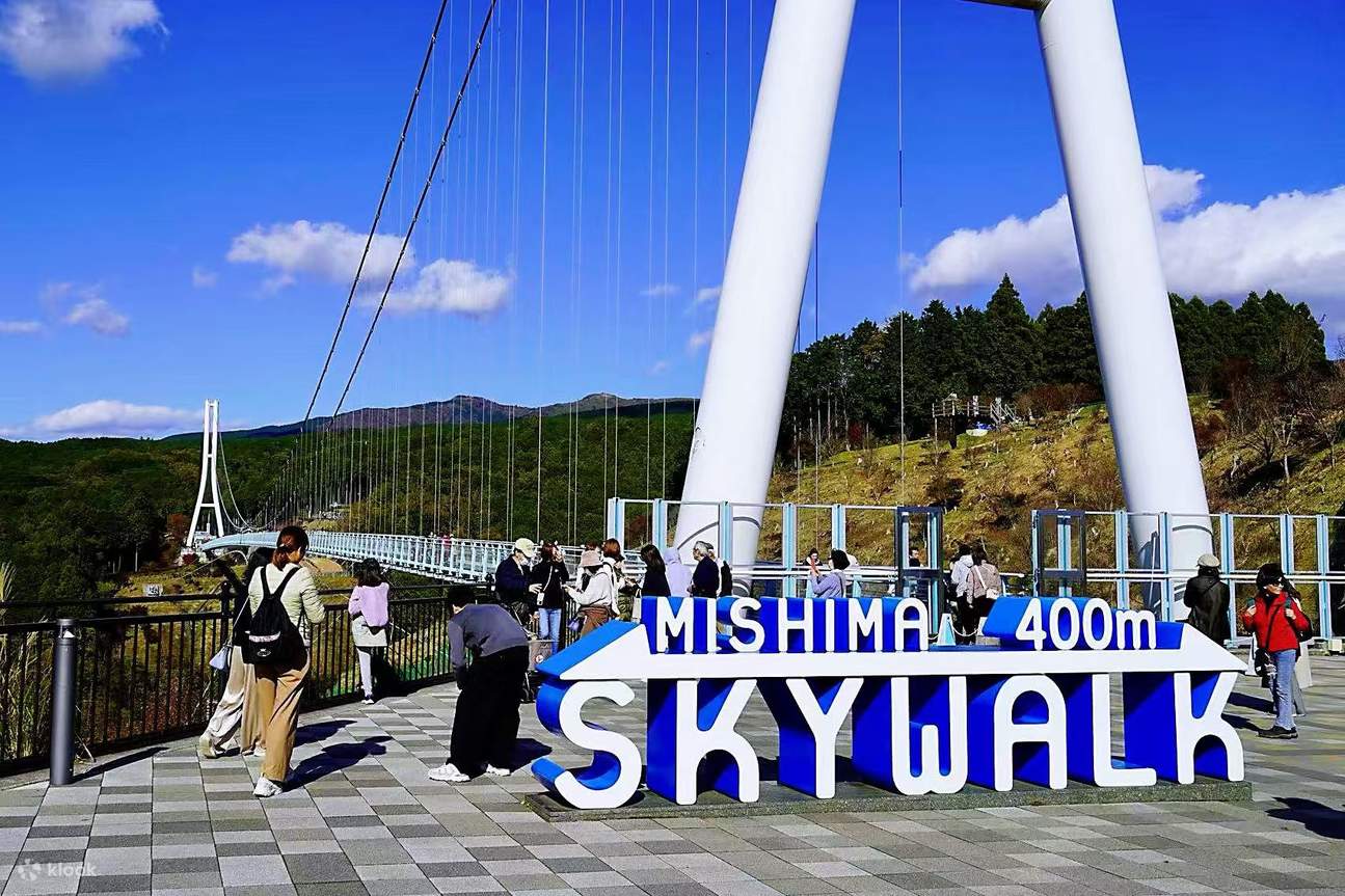 [Cherry Blossom Season Only] Mishima Skywalk & Iwamotoyama Park | Mt. Fuji Cherry Blossom Day ...