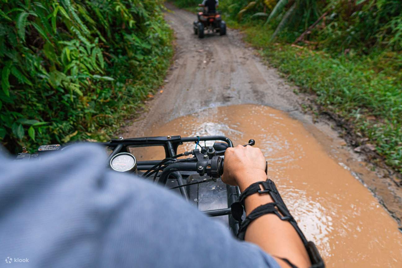 Thrill and Flavor with Kokol Hill ATV Adventure & Sunset Rendezvous ...