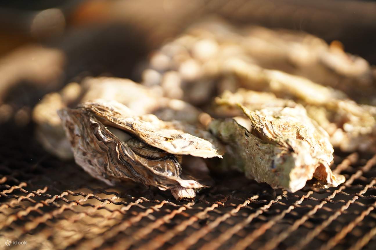 Witness Hiroshima Oyster Harvest & Interact with Local Oyster Farmer ...