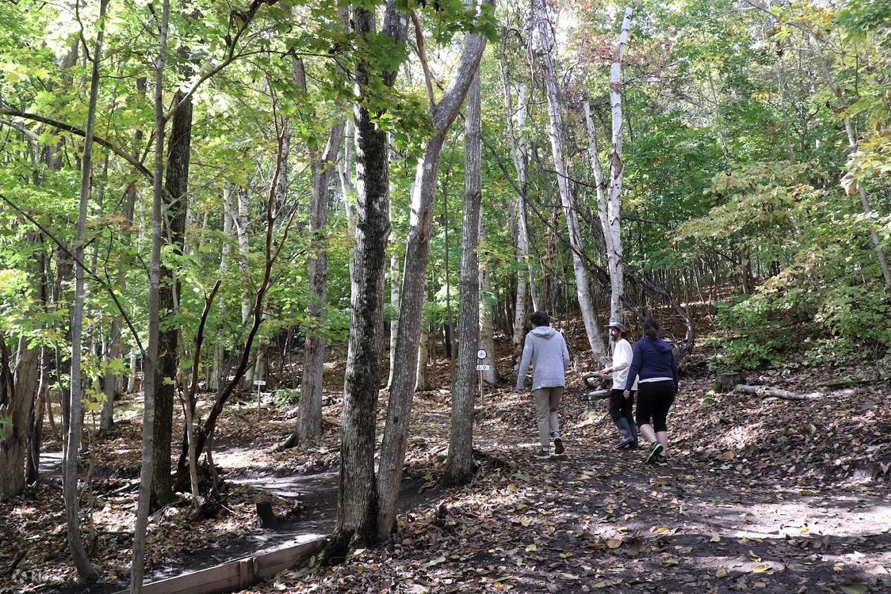 Bike Park & Mountain Biking in Sapporo Join In Half Day Bike Tour - Klook Australia