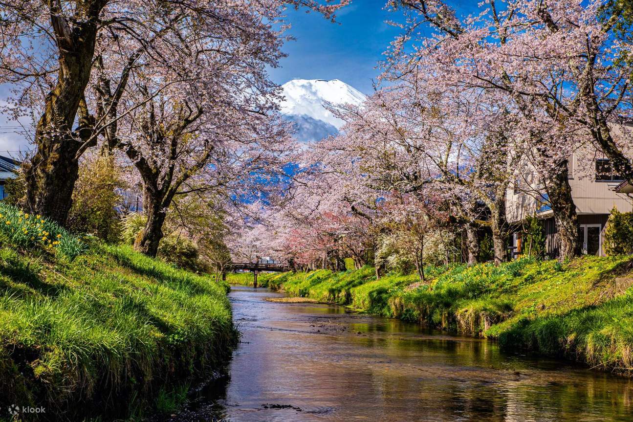 Gita di un giorno al Monte Fuji: Parco Arakurayama Sengen, Oshino ...