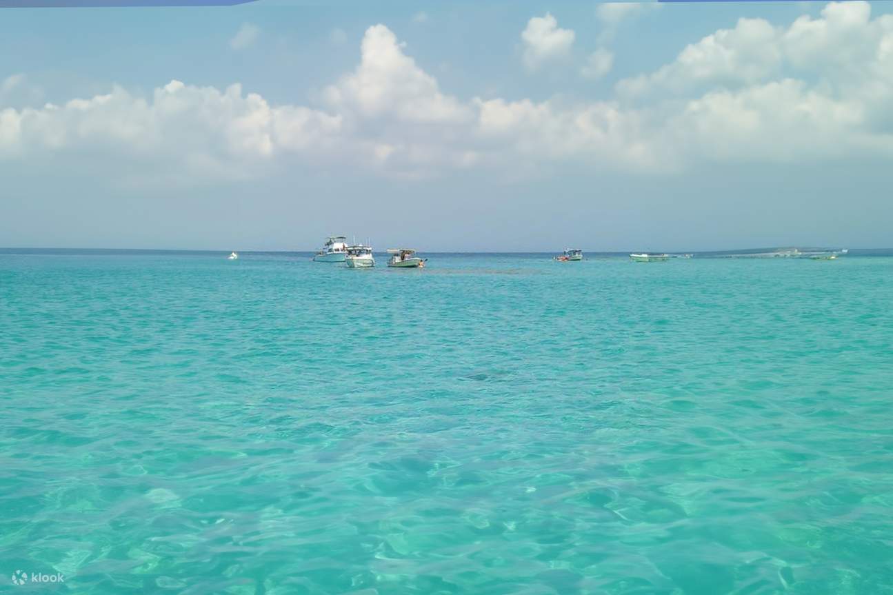 Relax on Bayada Island - Klook United States