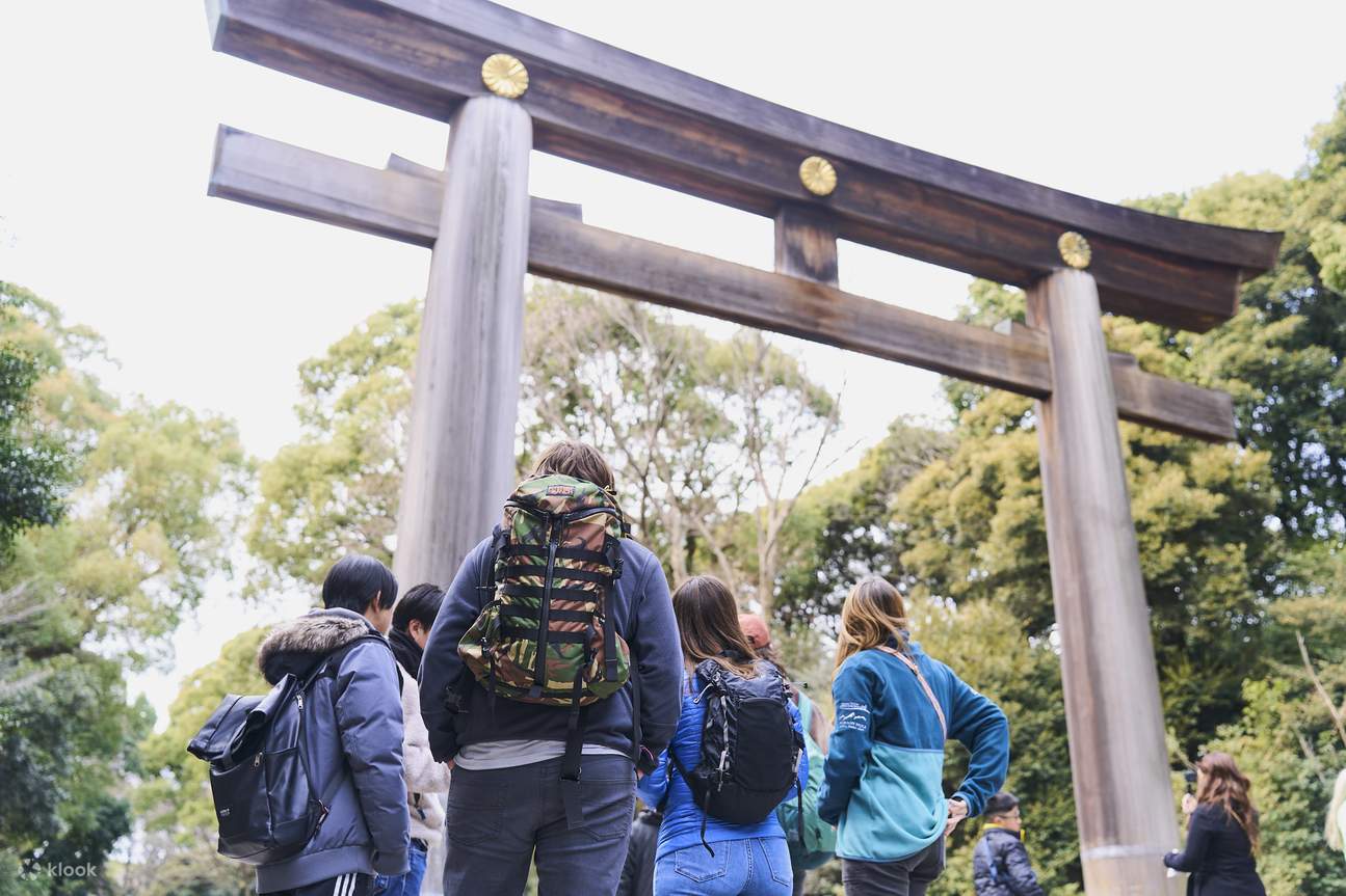 Shibuya Walking Tour with a Local Guide, Meiji Shrine in Tokyo - Klook