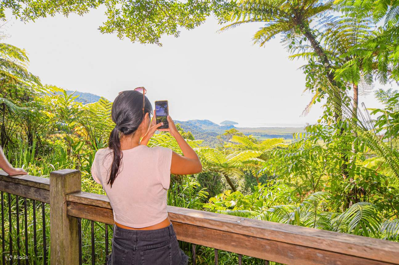 Daintree Rainforest Join In One Day Walking Tour from Port Douglas ...