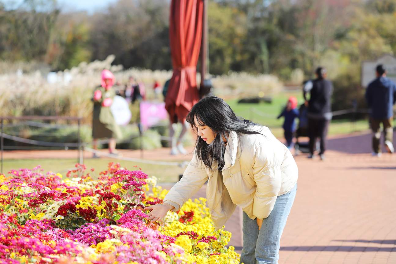 Eco Land Theme Park Ticket - Klook Singapore