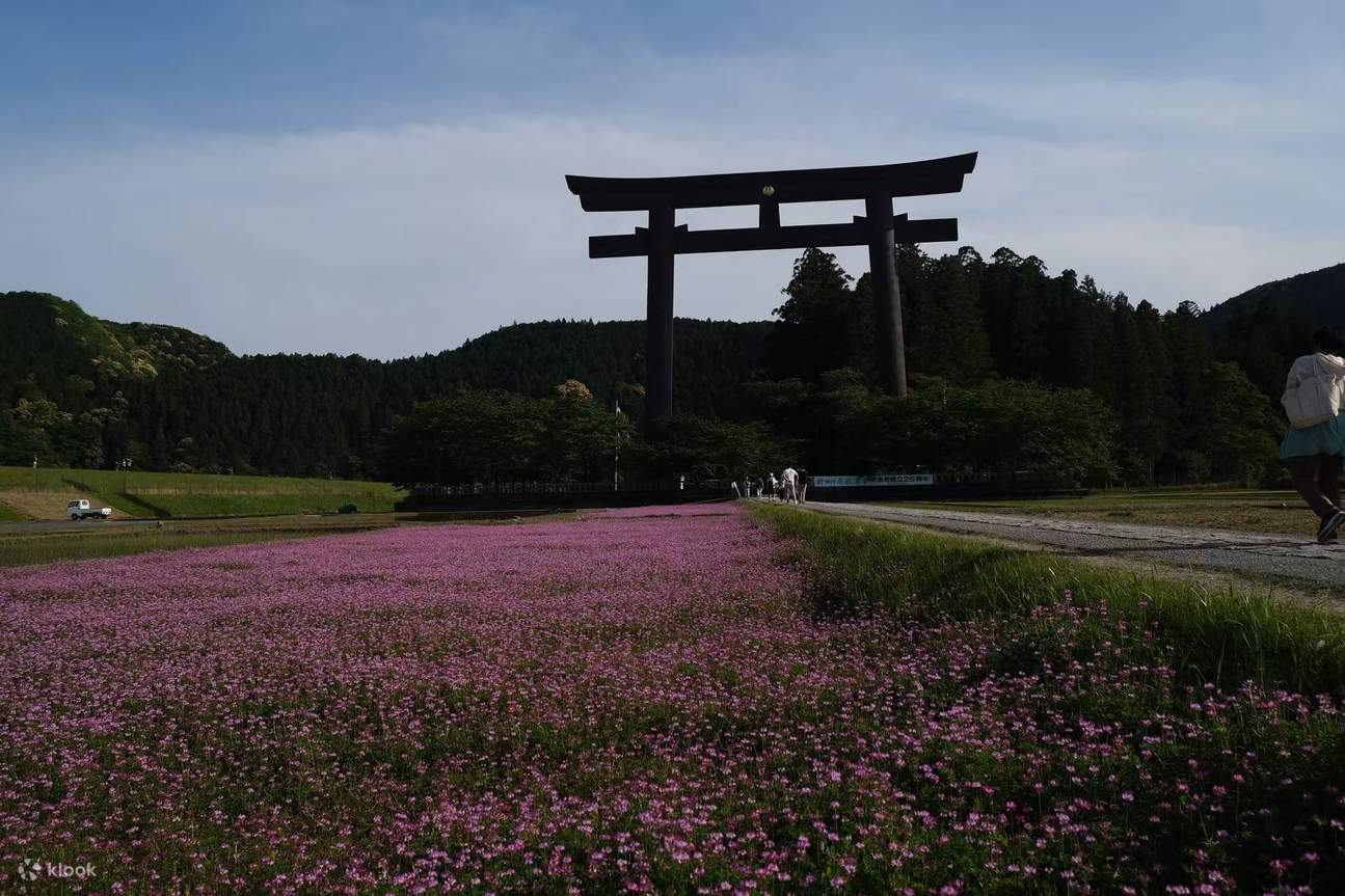 Kansai Minor Secret Realm One-Day Tour: Awaji Island / Mount Koya ...