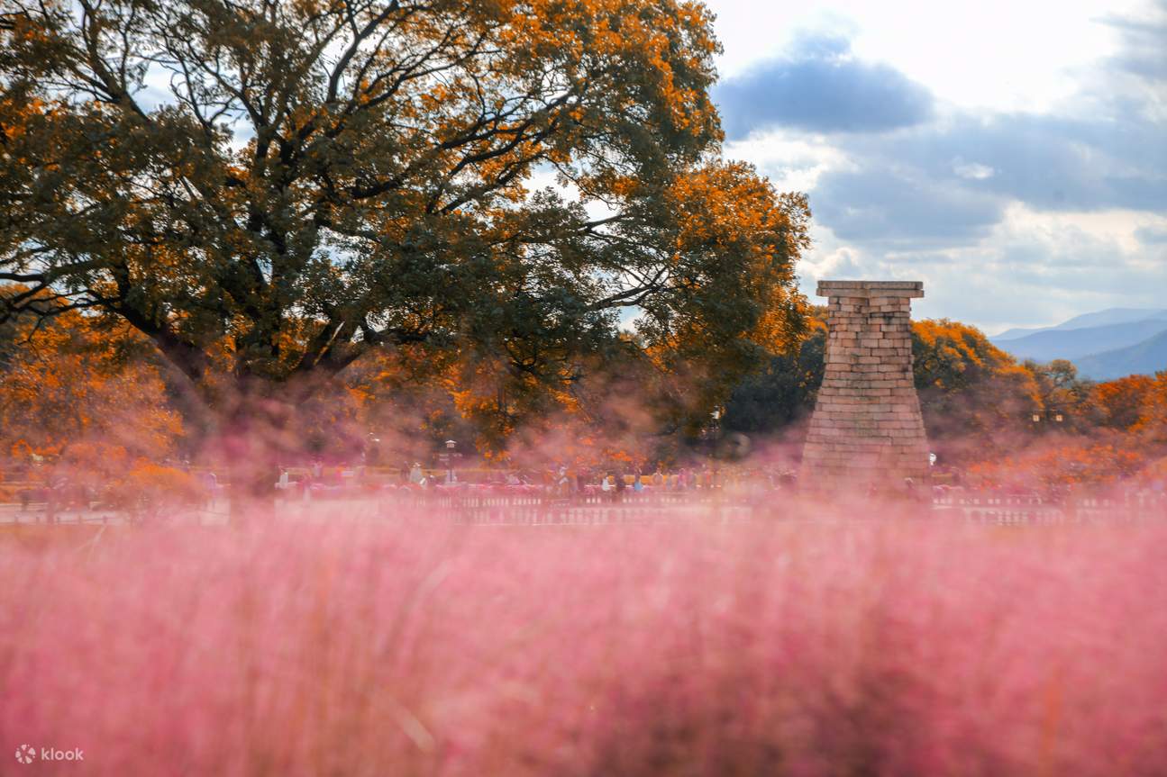 Gyeongju Seasonal Tour - Klook Hong Kong