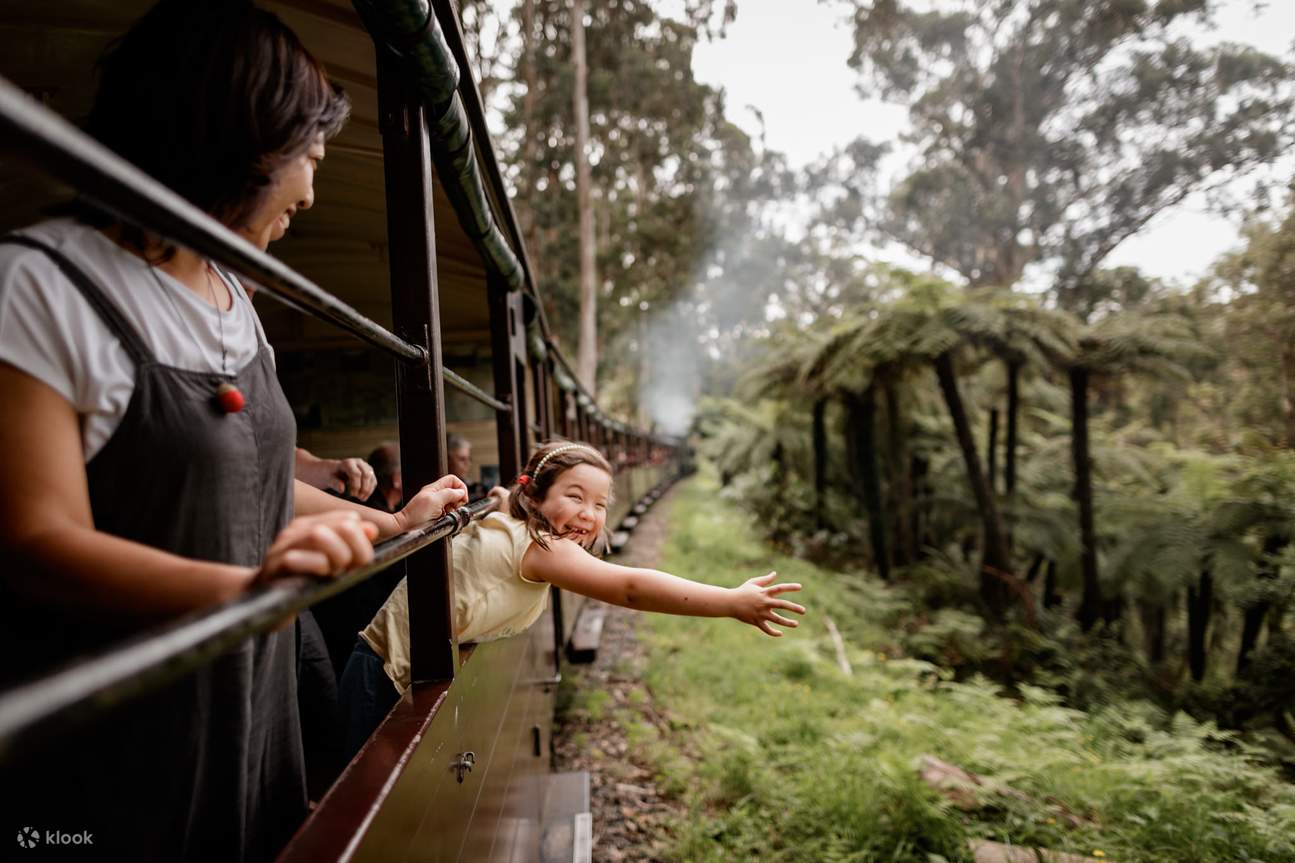 Melbourne Steam Train + Penguin Island One Day Tour (English Guide ...