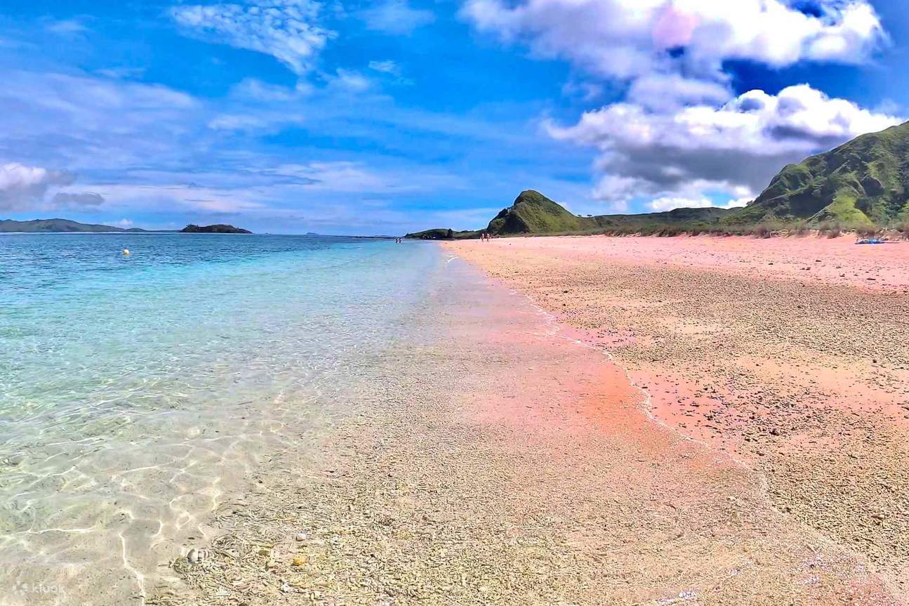 Full Day Speedboat Tour from Labuan Bajo by D'Tour Boat - Klook India