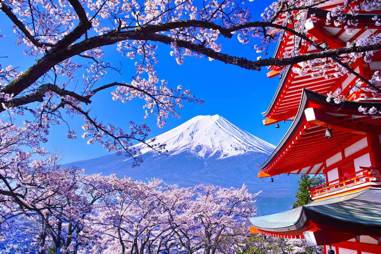 Tour panoramico diurno del Monte Fuji - Centro del patrimonio mondiale ...