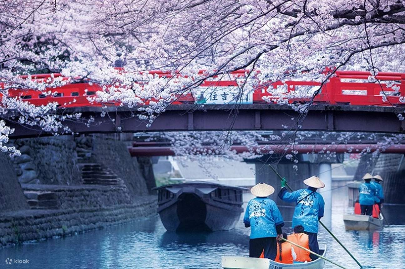 Amazing Sakura 1 Day Tour with Charter Train and Boat from Nagoya ...
