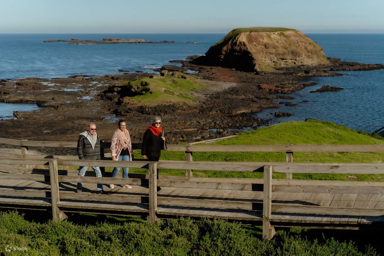 Phillip Island Penguin Parade and Churchill Island Farm Bus Tour ...