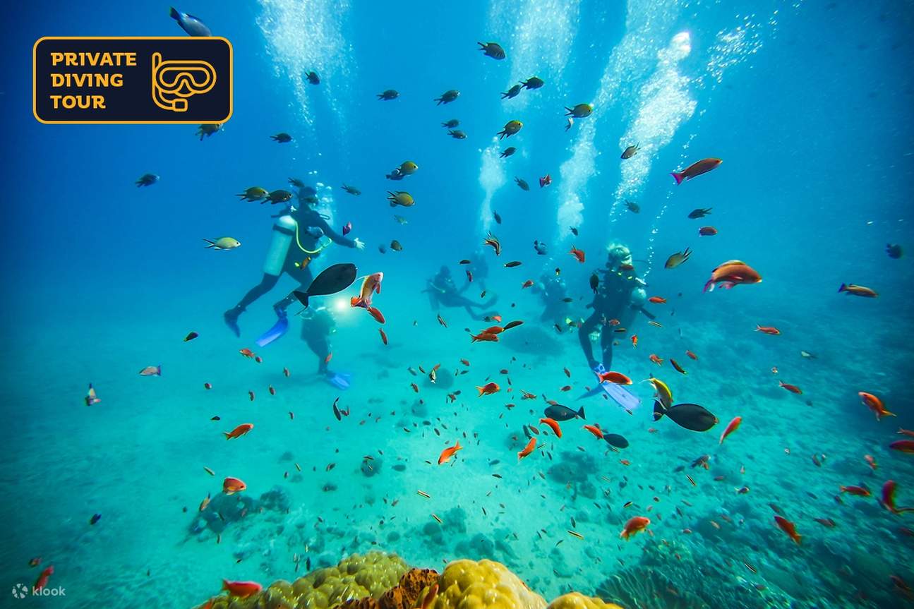 Nusa Penida by Speed Boat (Snorkeling & Manta Rays) - Klook Australia