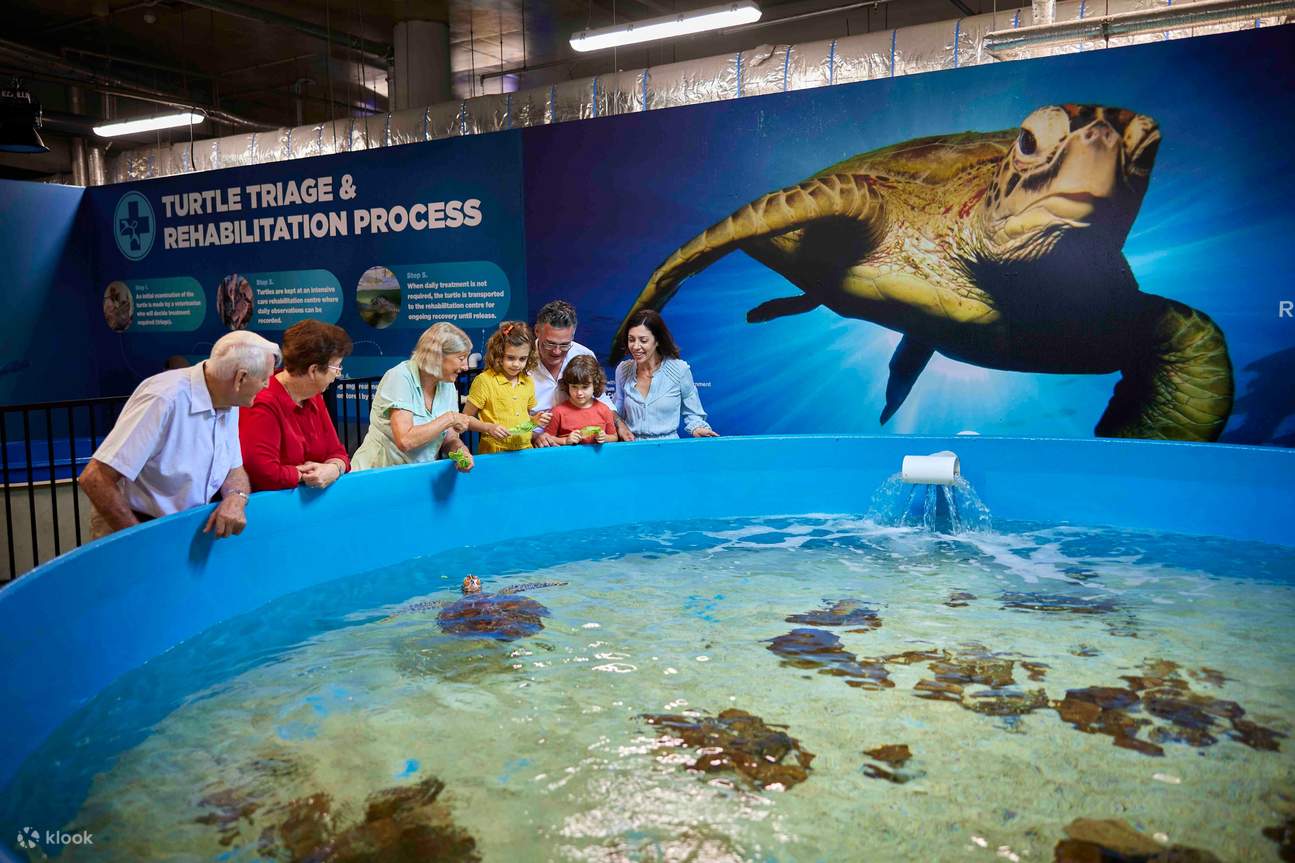 Marine Life Encounter by Cairns Aquarium - Klook Philippines