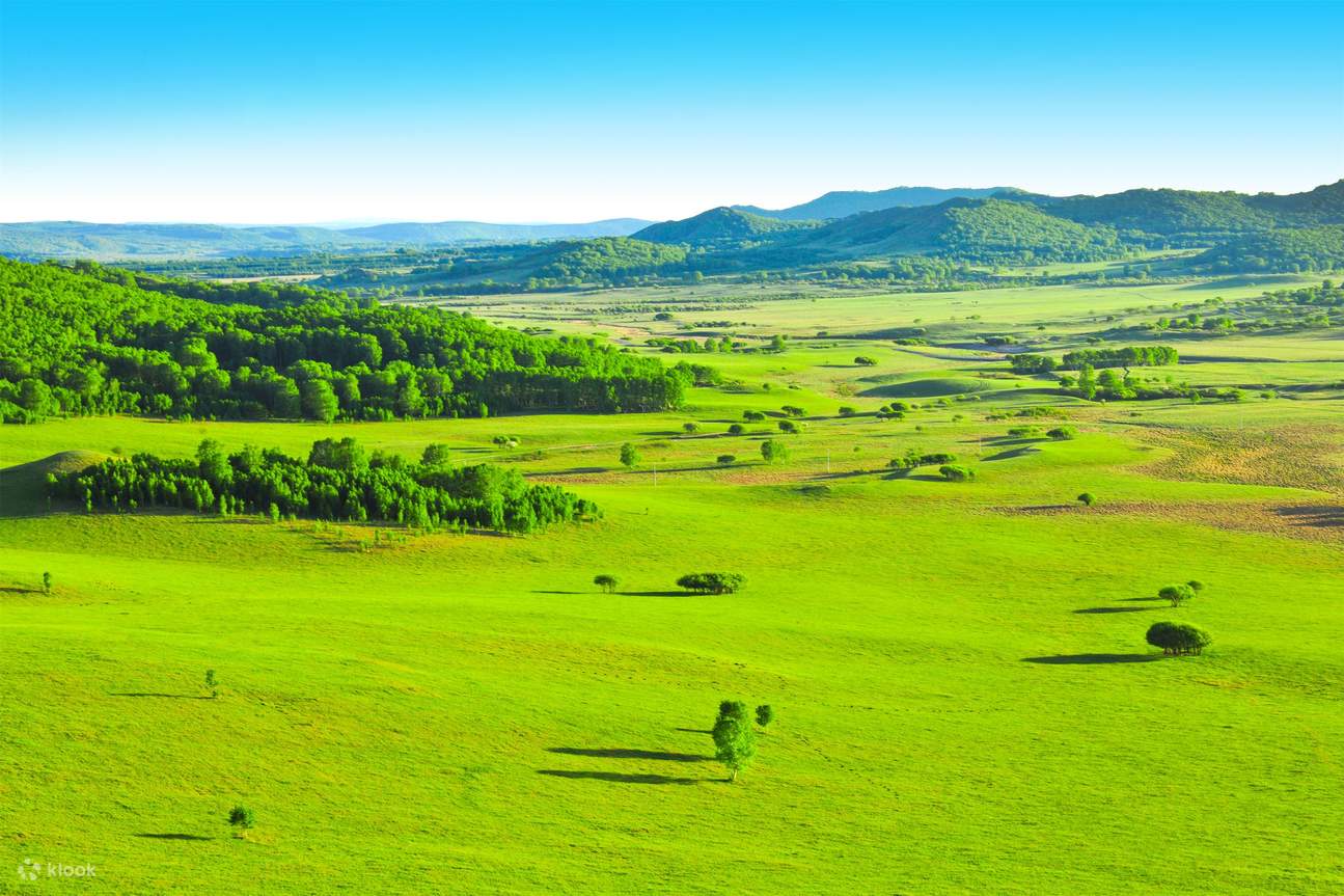 [Meet Ulanbutong Winter·Ice and Snow Carnival 5 Days] Beijing+Saihanba ...