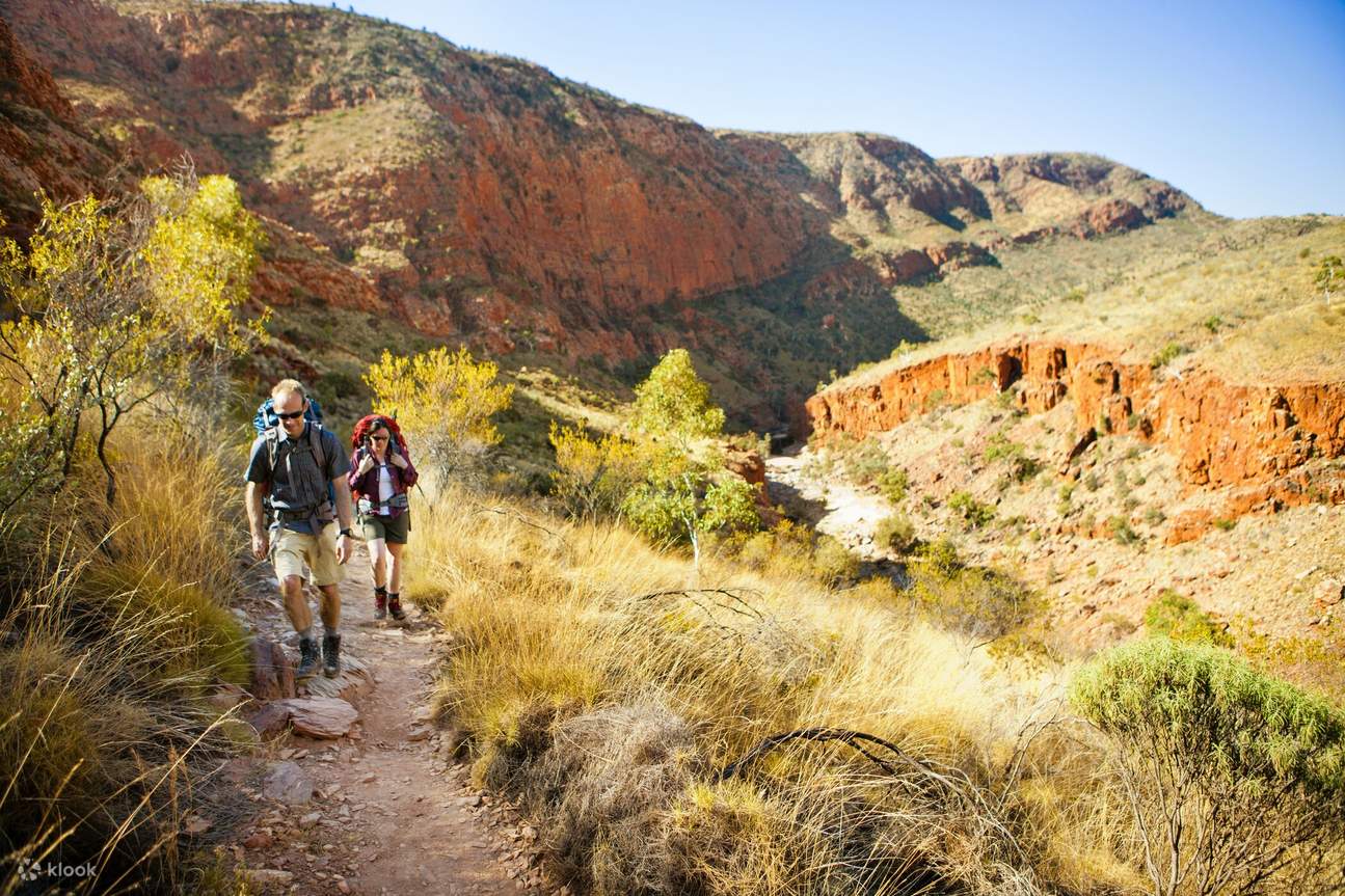West MacDonnell Ranges Tjoritja Tour - Klook Australia