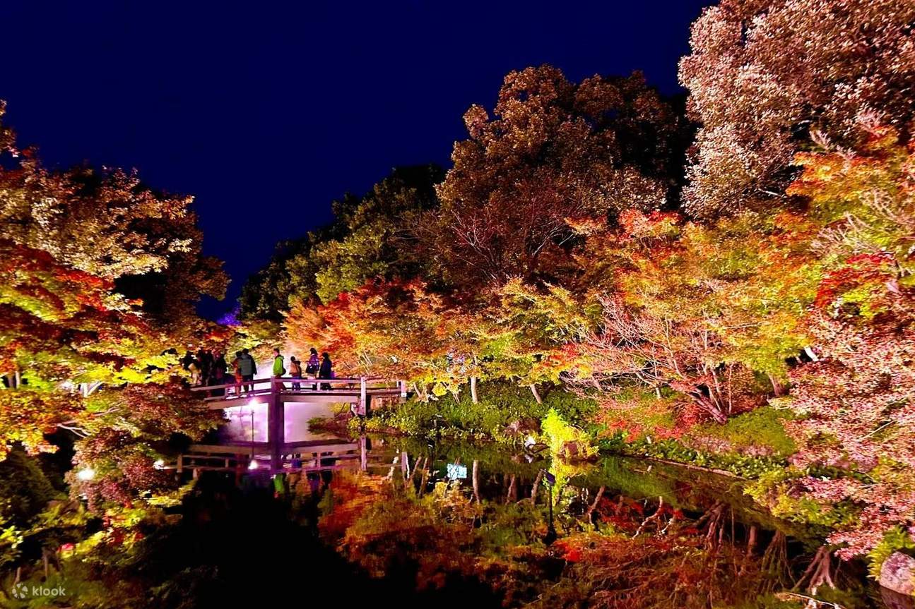 Tour in autobus dell'outlet di Nagashima Mitsu e dell'illuminazione ...