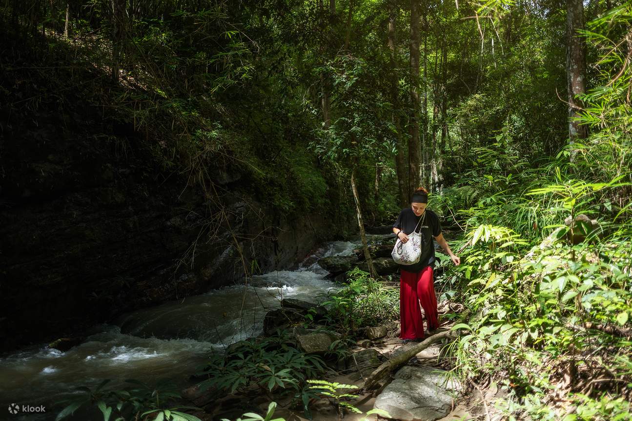 Chiang Mai Wat Luang Khun Win & Waterfall Full Day Hiking Adventure ...