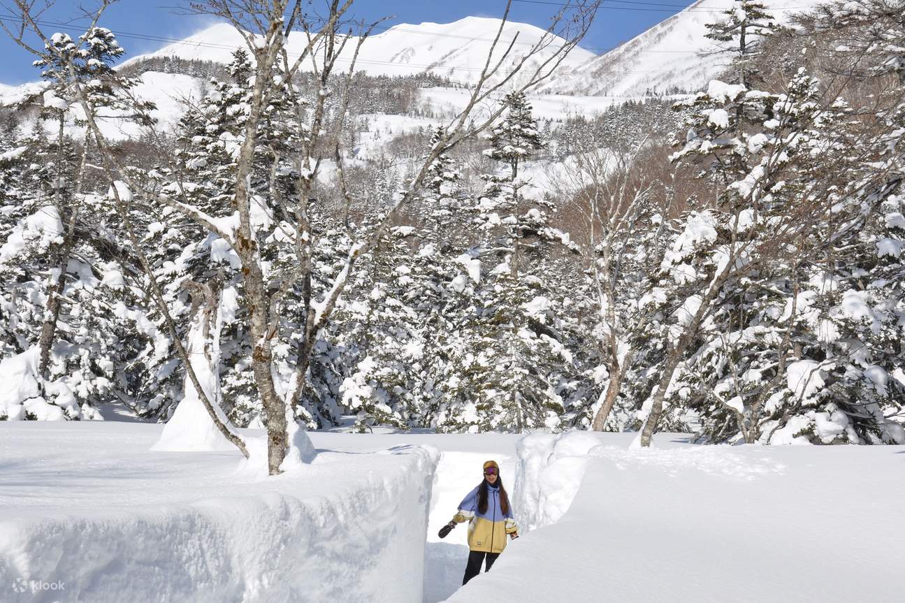 Hakuba Tsugaike Snow Wall & Shinshu's 2 Best Cherry Blossom Spots in ...