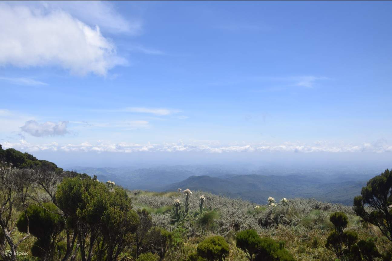 Experience the Ultimate Elephant Hills Hike Tour – A Nature Adventure ...