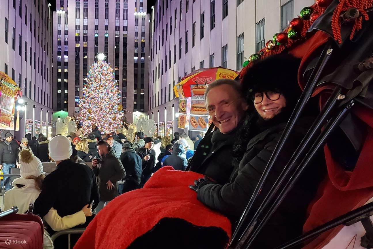 Vip Christmas Lights And Central Park Horse Carriage Tour in New York ...