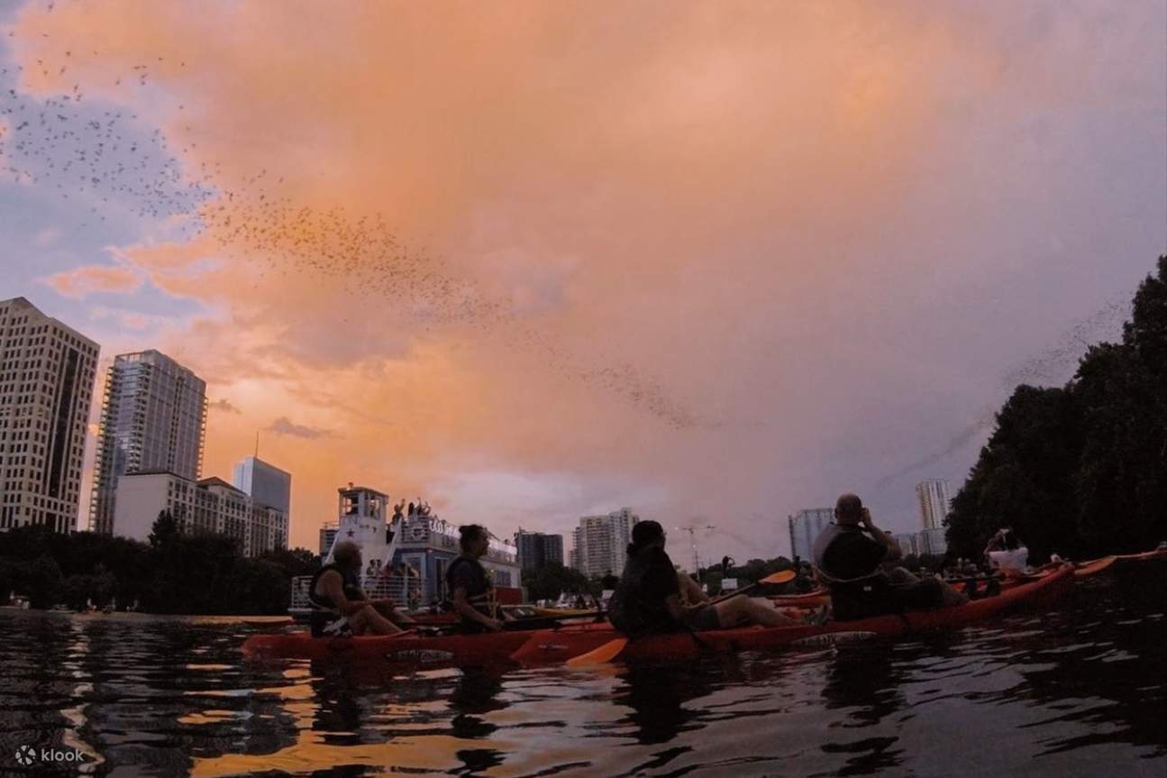 Austin Sunset Bat Watching Kayak Tour - Klook Estados Unidos