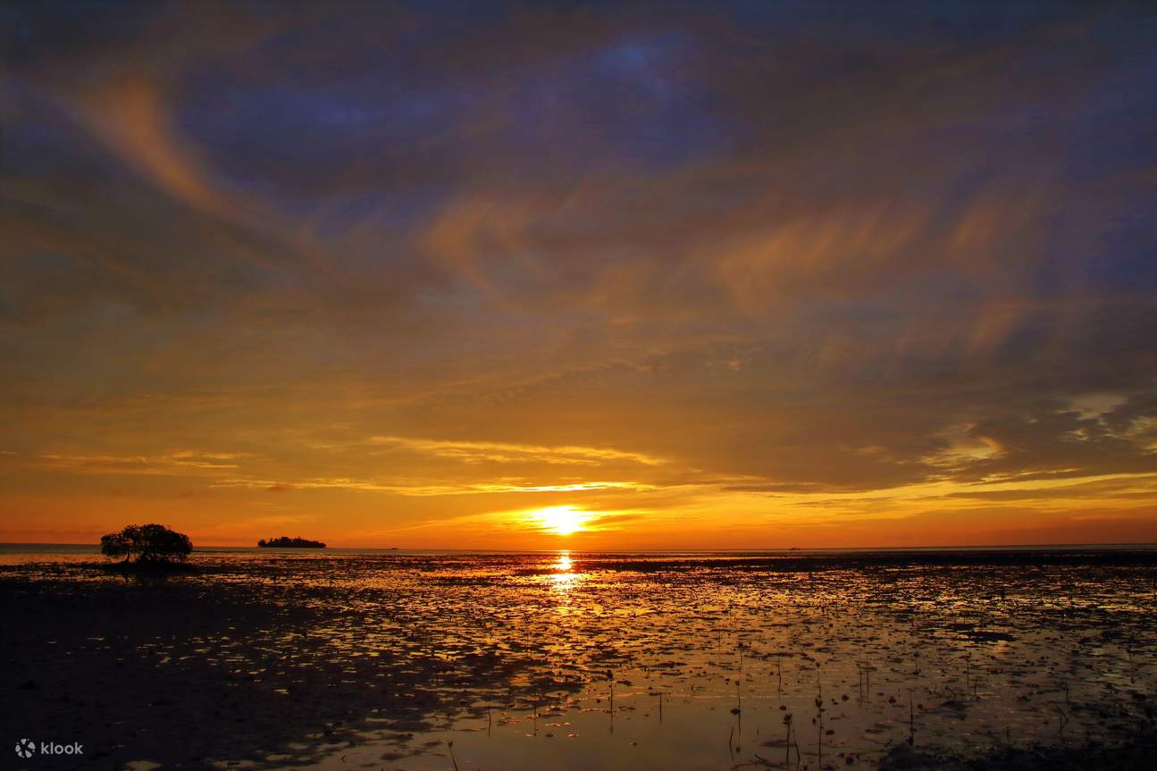2D1N Walai Penyu Turtle Sanctuary and Glamping Island Hopping Tour ...