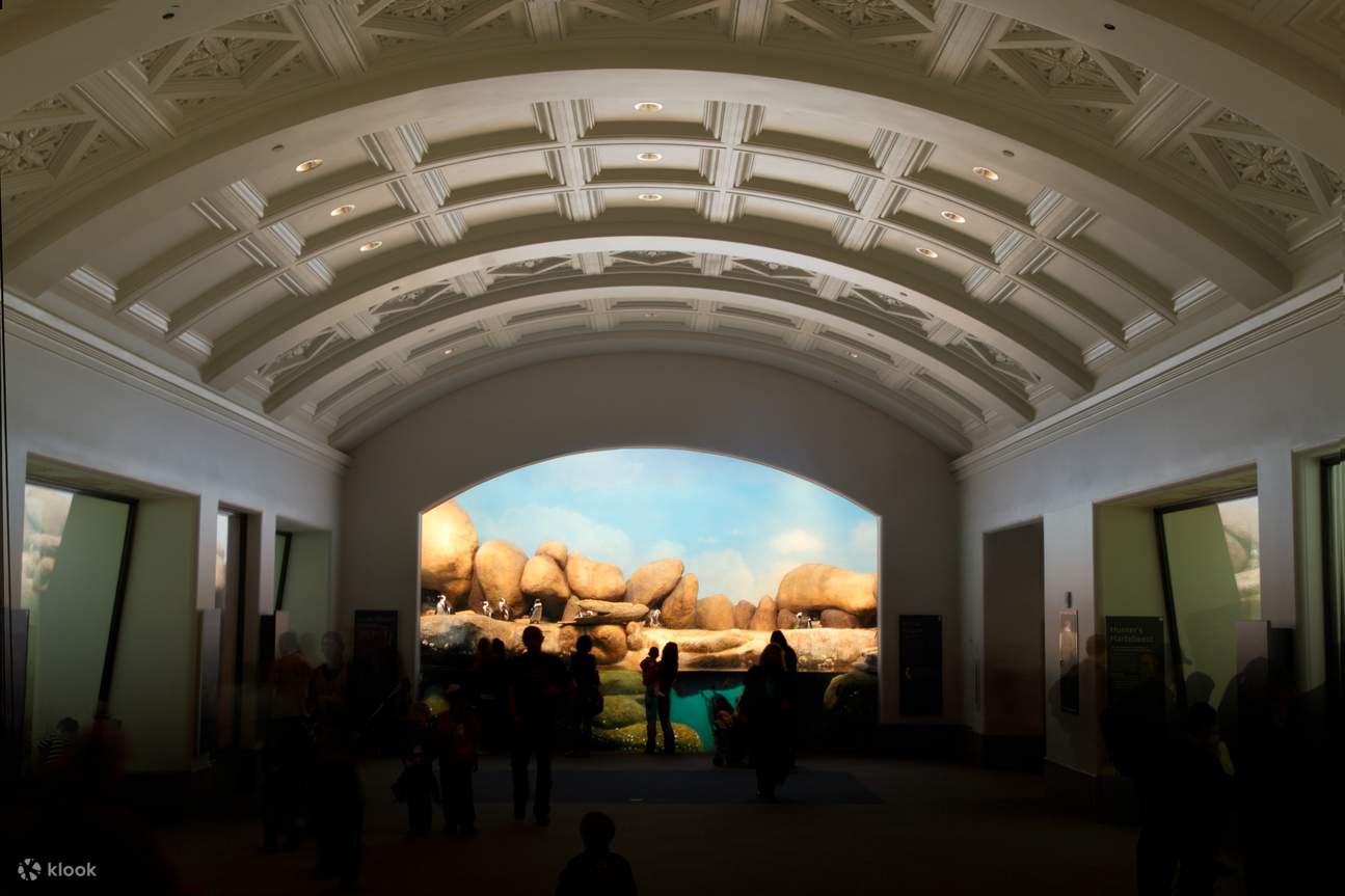 California Academy of Sciences Admission Ticket San Francisco - Klook