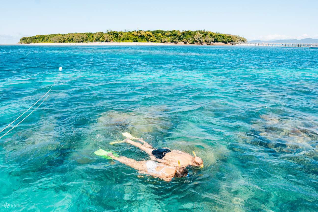 Crociera alla scoperta di Green Island per l'intera giornata da Cairns ...