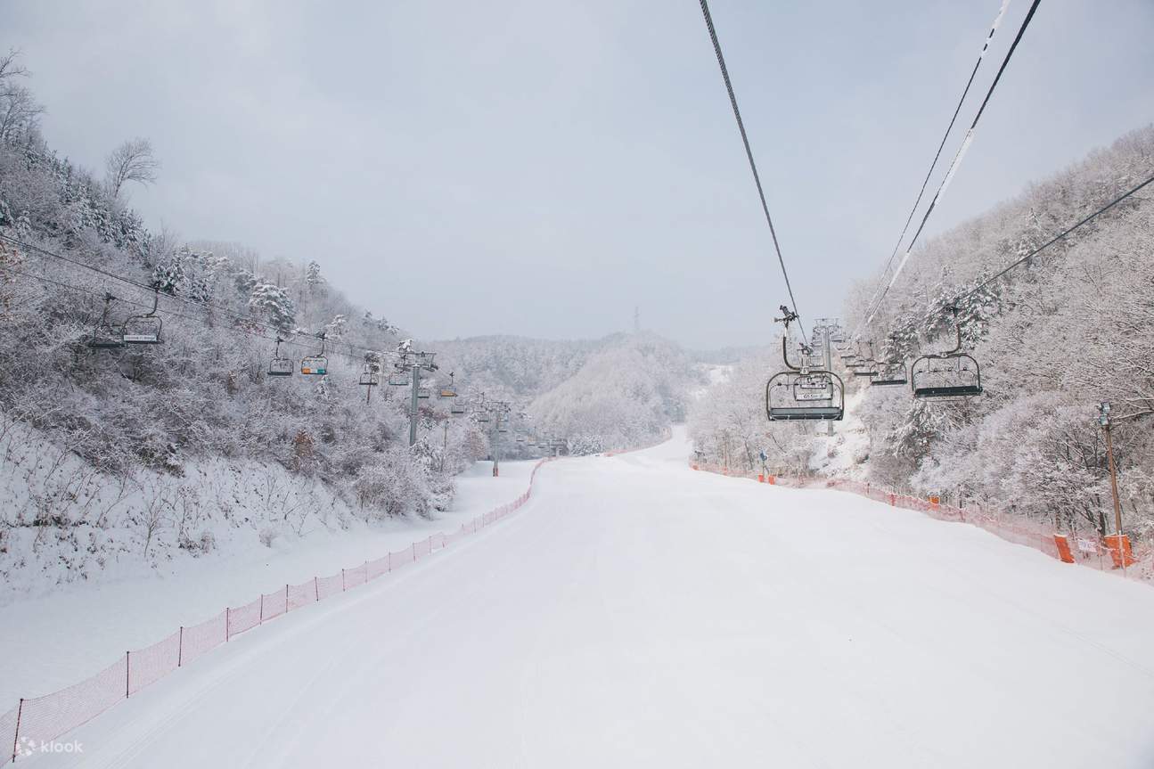 Elysian Ski Resort & Eobi Ice Valley Day Tour From Seoul - Klook