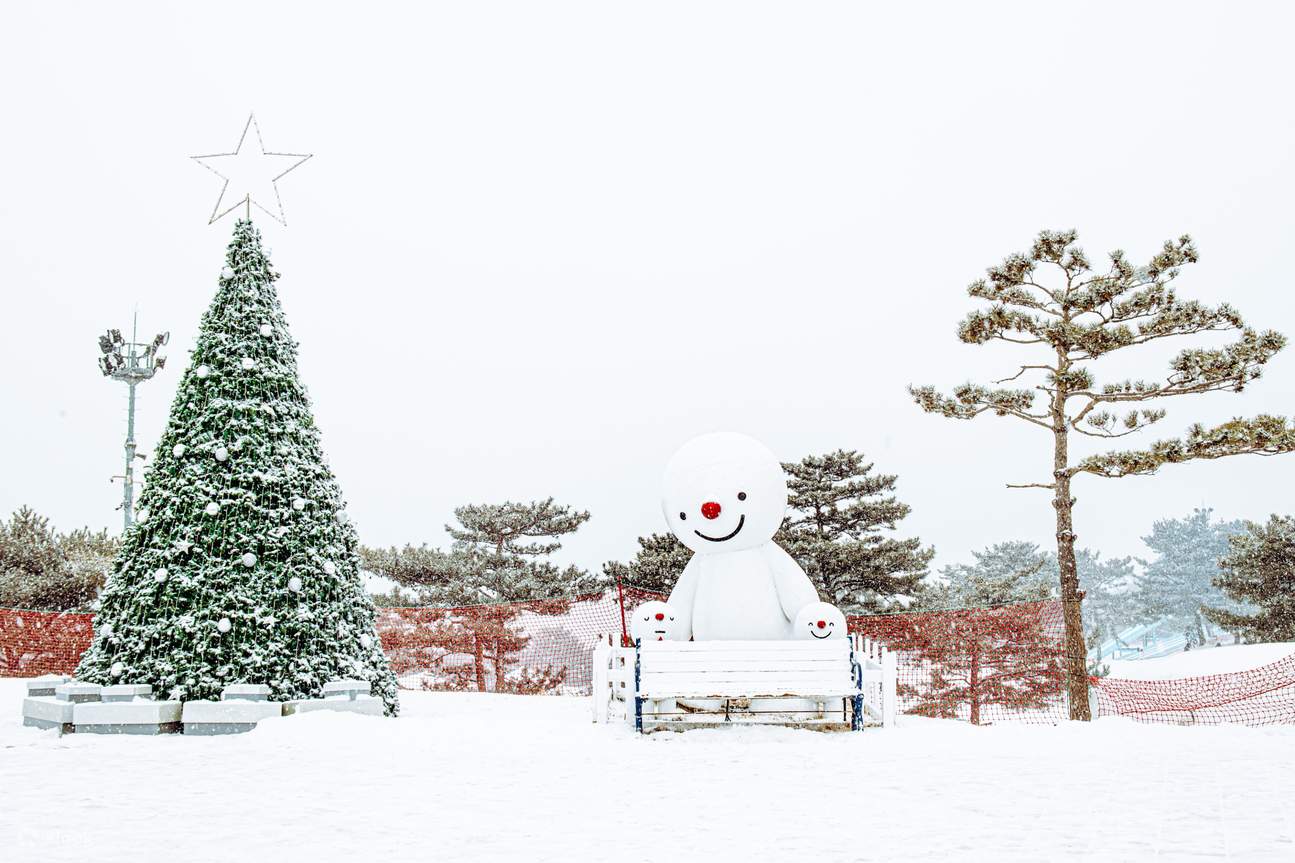 Vivaldi Park Snowy Land Day Trip from Seoul - Klook United States